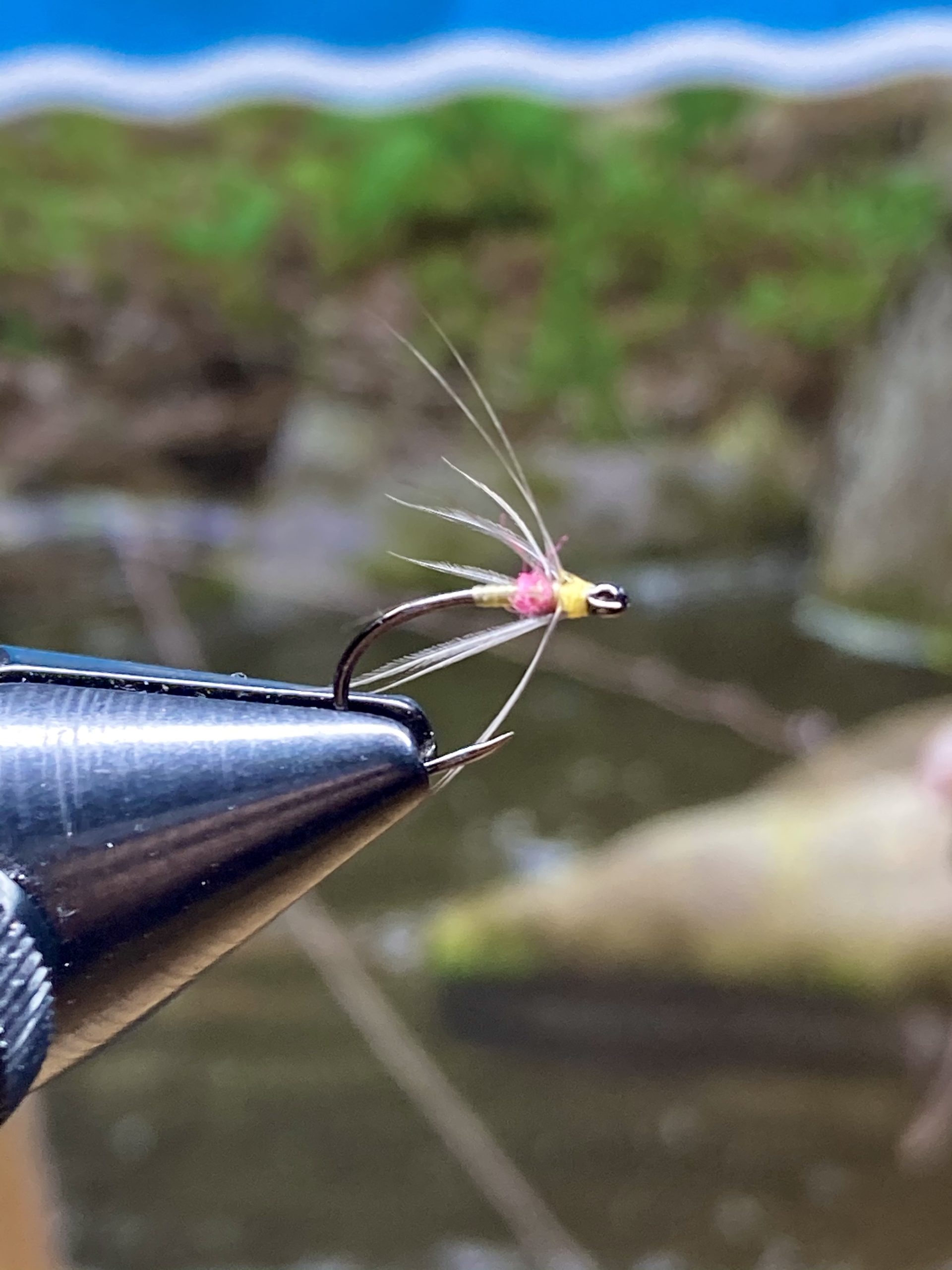 Snipe & Cream spider - flytyingnotes.com